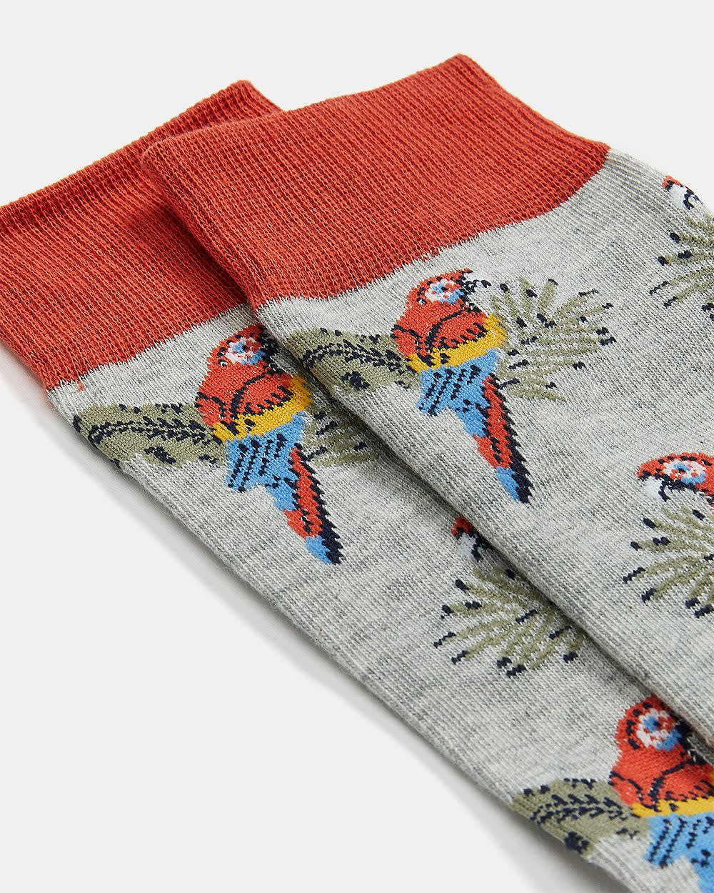 Parrot Socks | RW&CO.